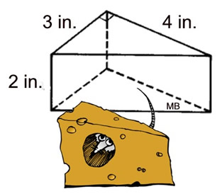 Practice with Surface Area - MathBitsNotebook(Jr)